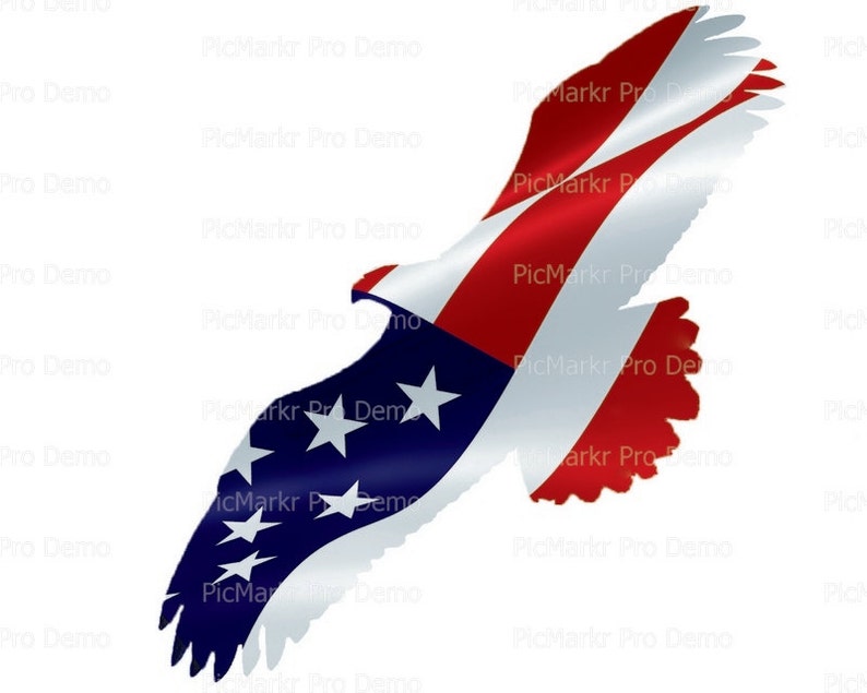 Bald Eagle American Flag Edible 2D Fondant Birthday | Etsy
