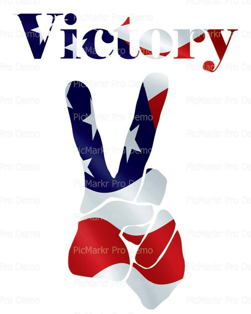 Election Victory Birthday ~ Edible 2D Fondant Birthday Cake/Cupcake ...