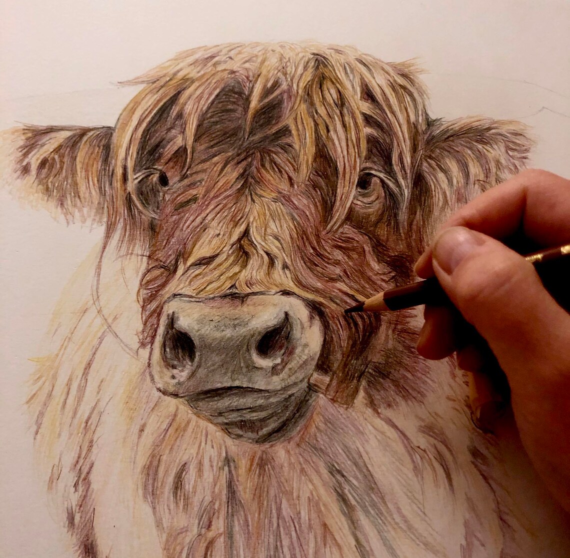 Highland Cow Print for Living Room Wall Art for Office - Etsy UK