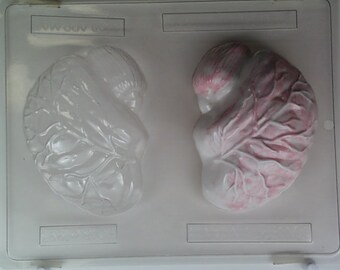 Chocolate Brain - Etsy