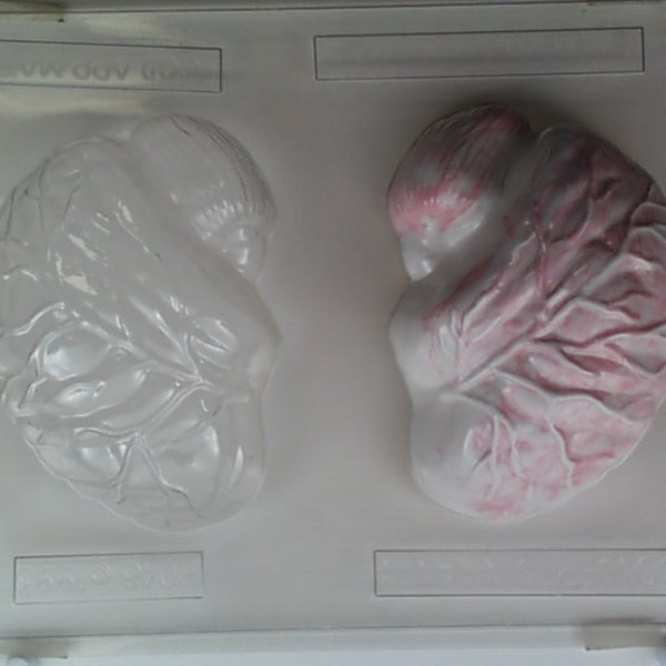 Brain Candy Mold - Etsy