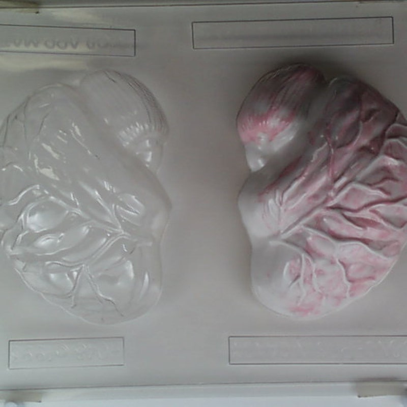 Brain Candy Mold - Etsy