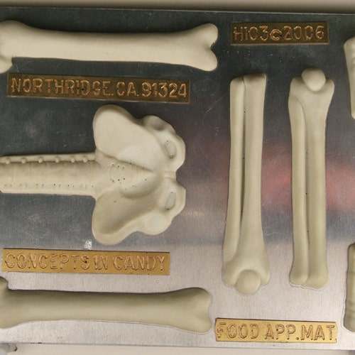 Skeleton Bottom Half Pieces H103 - Etsy