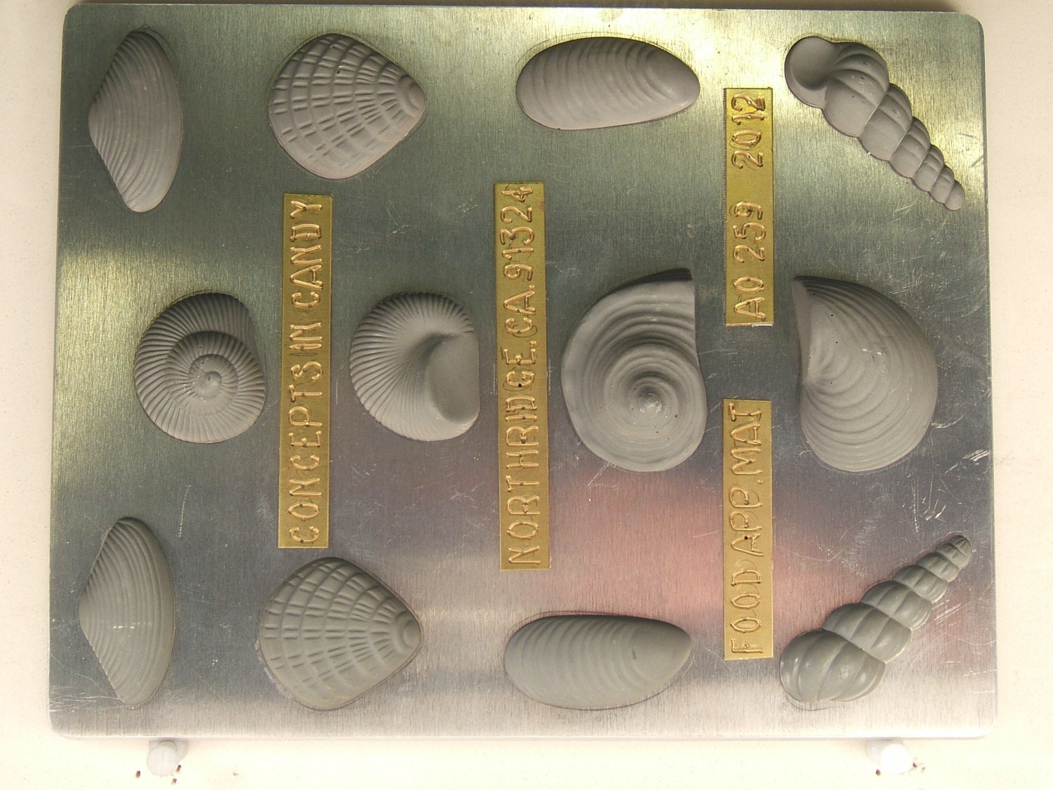 Sea Shell Assortment Small AO259 Chocolate Candy Mold - Etsy