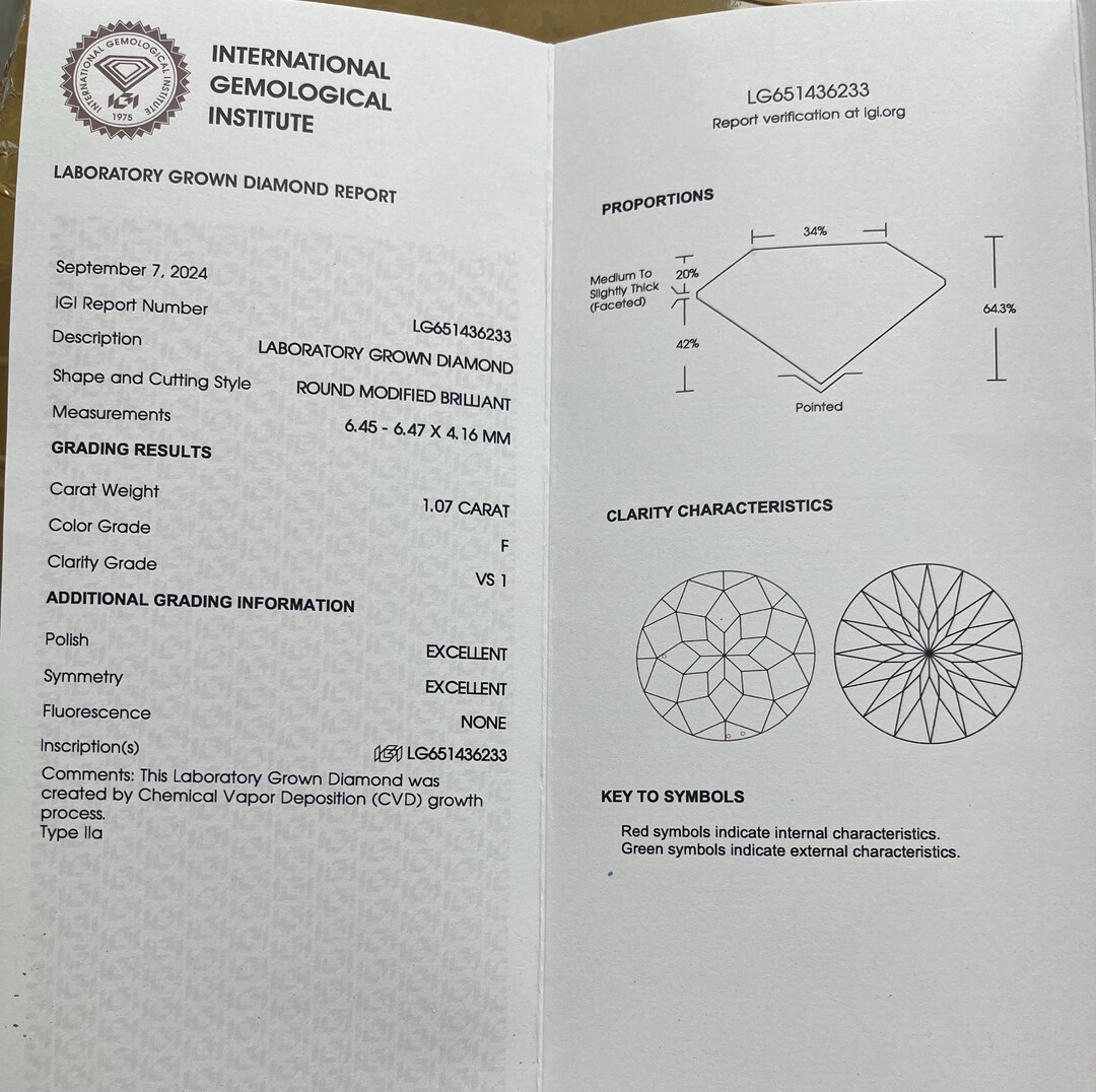 1.07 Ct IGI Certified Lab Diamond Custom Engagement Ring. Reserved for ...
