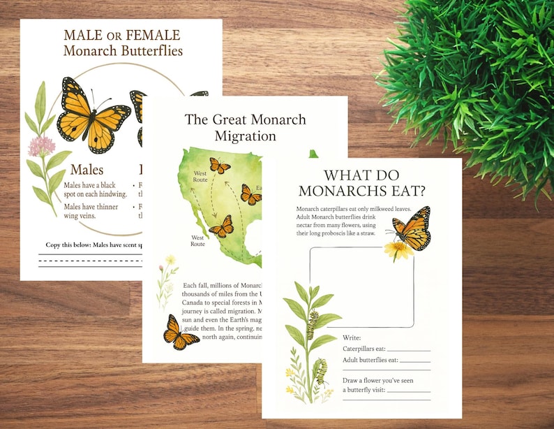 Monarch Butterfly Unit Study Printable | Homeschool Science Worksheets ...