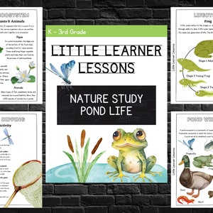 Printable Pond Life Worksheets for Kids | Nature Study Fun - Etsy