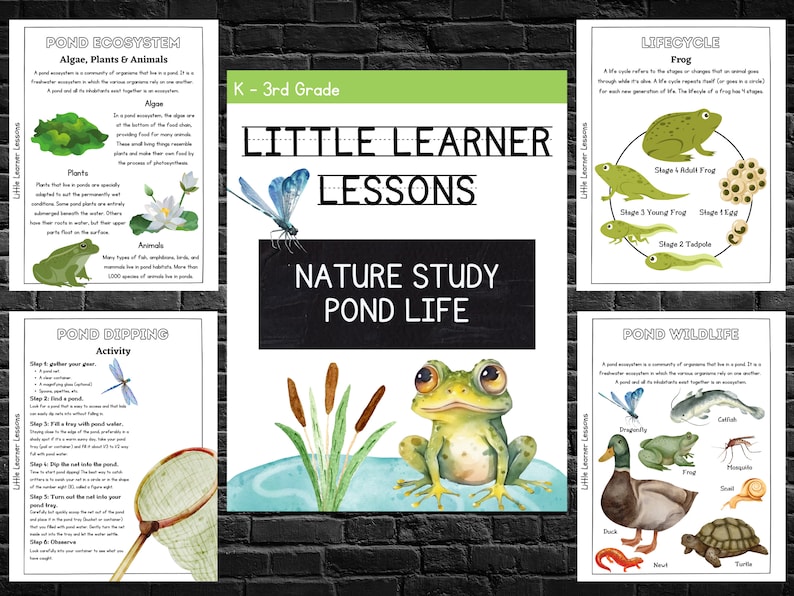 Printable Pond Life Worksheets for Kids | Nature Study Fun - Etsy
