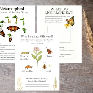 Monarch Butterfly Unit Study Printable | Homeschool Science Worksheets ...