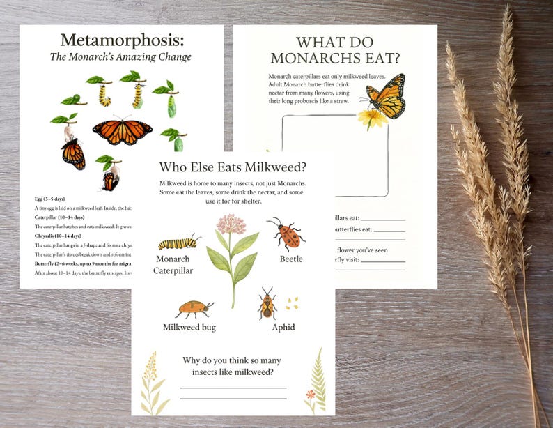 Monarch Butterfly Unit Study Printable | Homeschool Science Worksheets ...