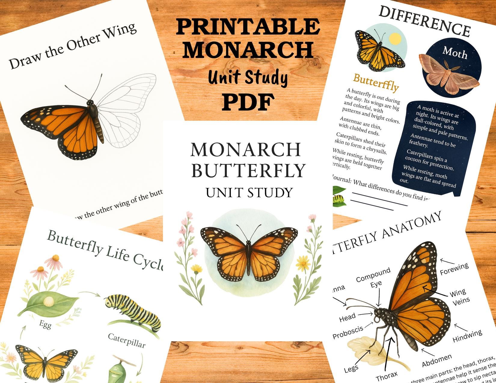 Monarch Butterfly Unit Study Printable | Homeschool Science Worksheets ...
