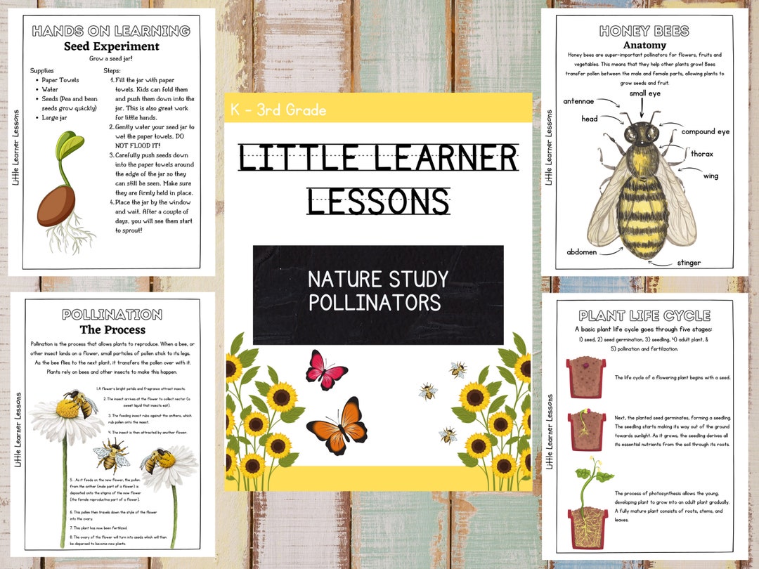 Printable Pollinator Nature Study Worksheets - Etsy