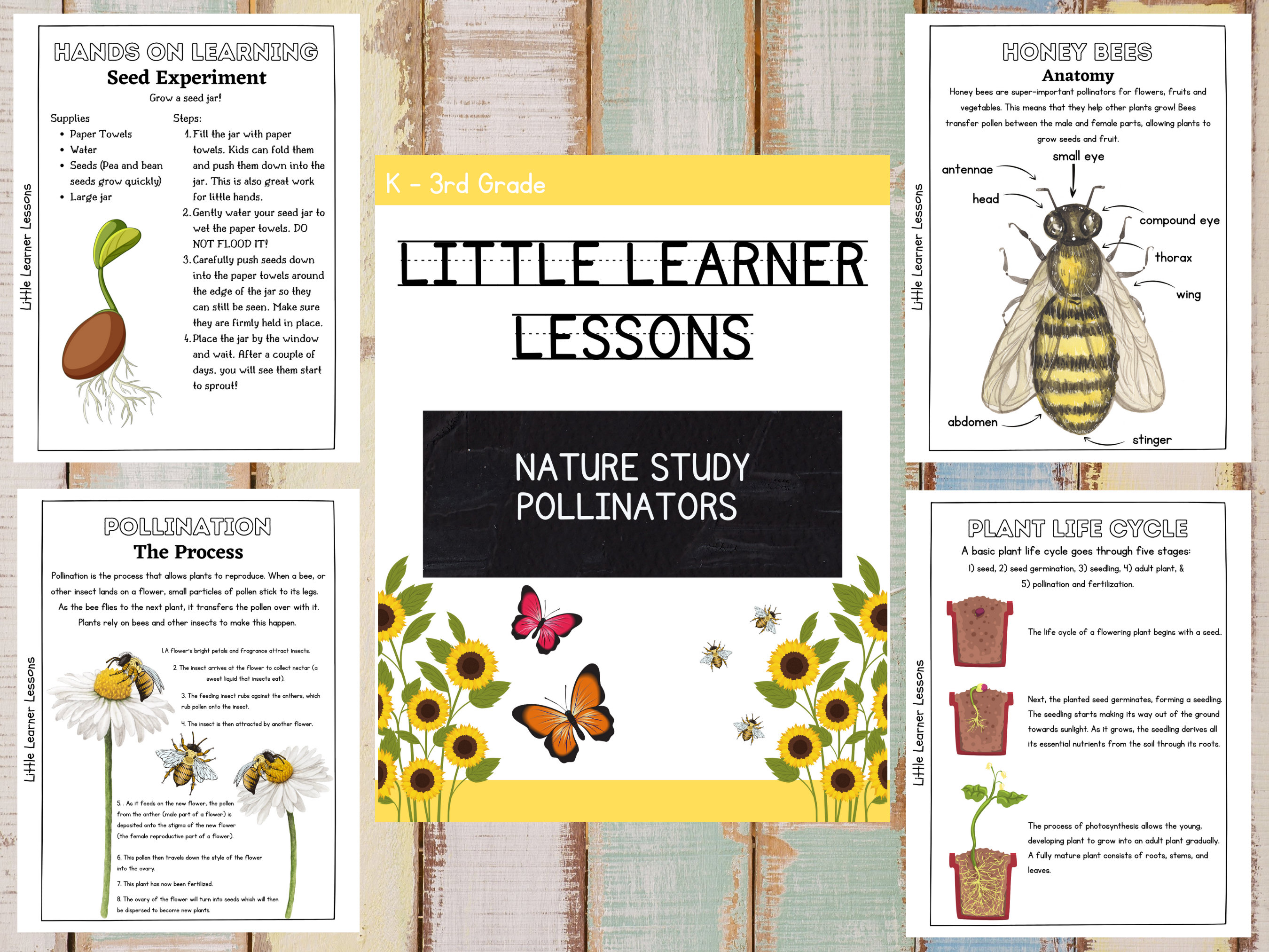 Printable Pollinator Nature Study Worksheets - Etsy