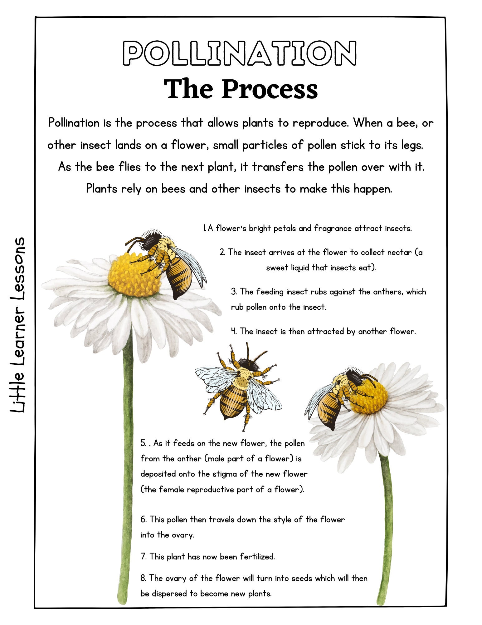 Printable Pollinator Nature Study Worksheets - Etsy