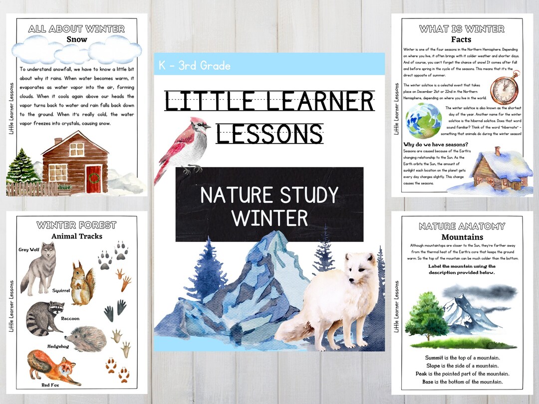 Winter Nature Study Worksheets - Etsy