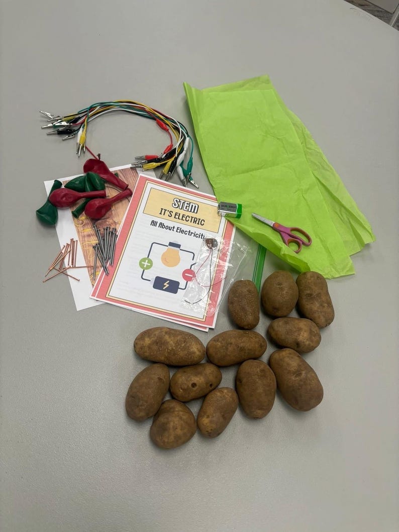 Electricity STEM Activities | Static, Battery, Conductor (PDF) - Etsy