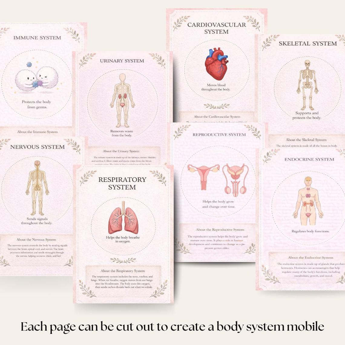 Human Body Systems Mobile | Printable Anatomy Activity | Homeschool ...