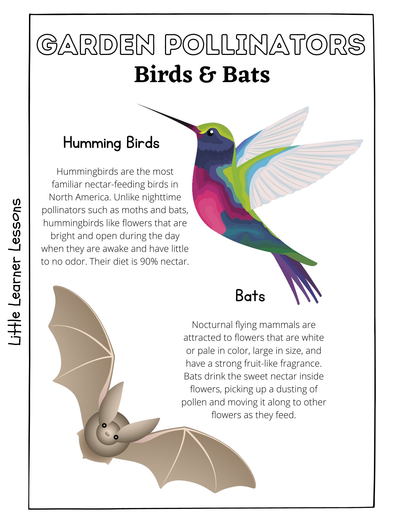Printable Pollinator Nature Study Worksheets - Etsy