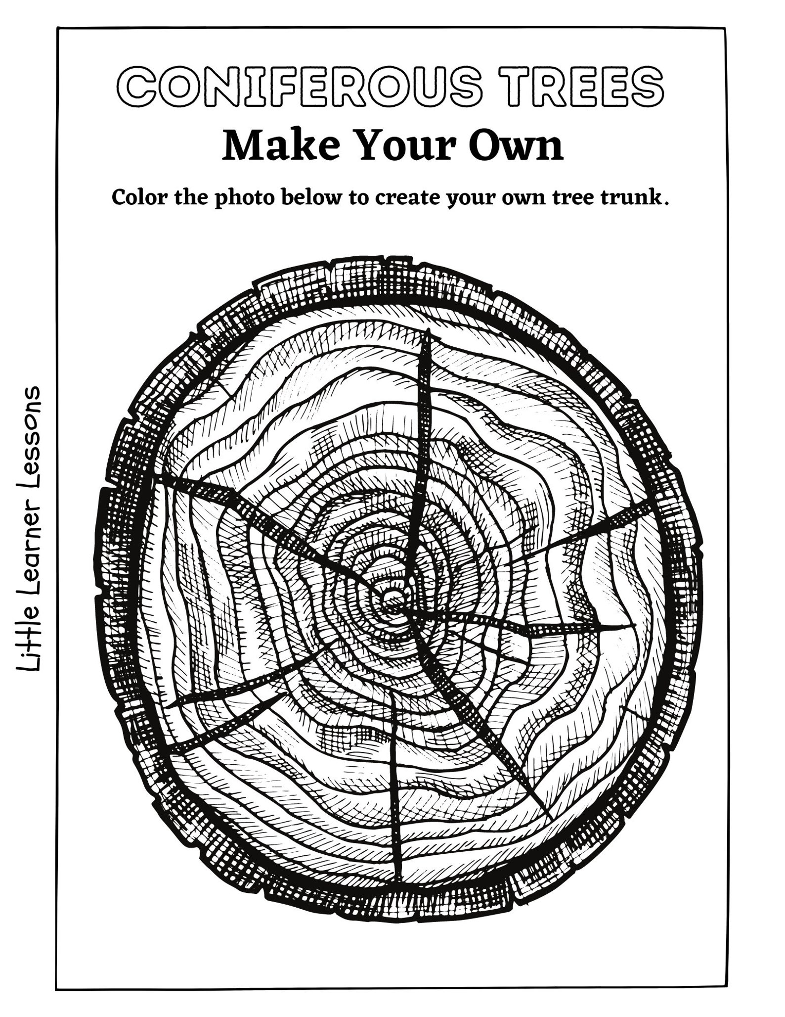 Printable Coniferous Tree Nature Study Worksheets - Etsy