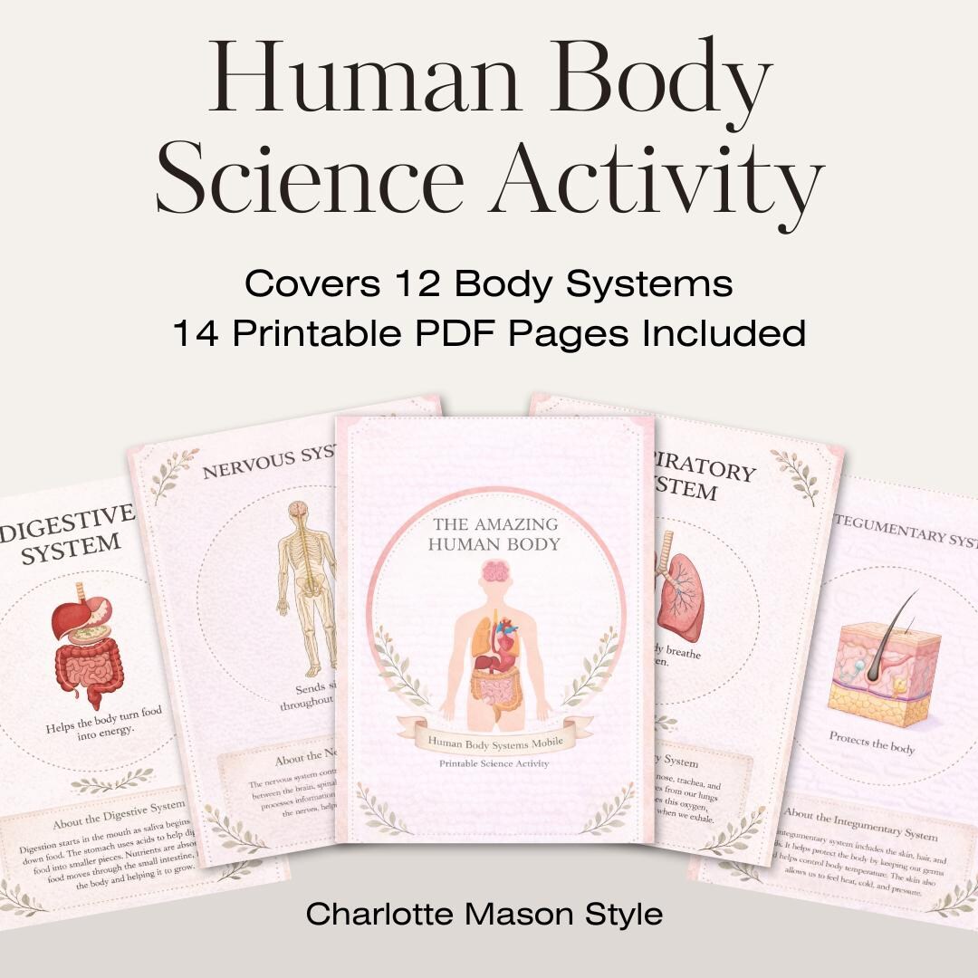 Human Body Systems Mobile | Printable Anatomy Activity | Homeschool ...