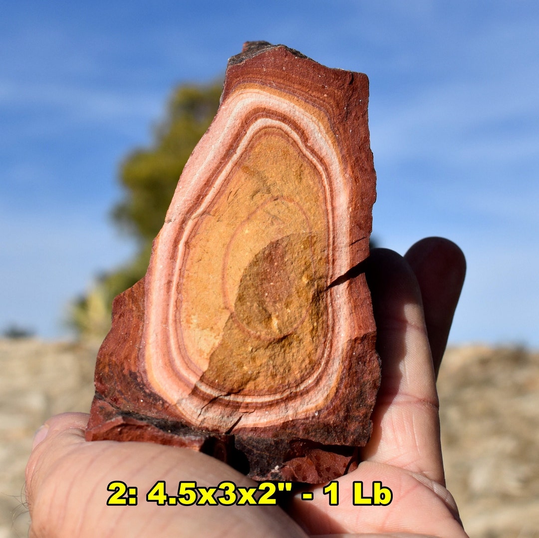 WONDERSTONE RHYOLITE Mineral Specimens 4-8 Size Choice of 10 Colorful ...