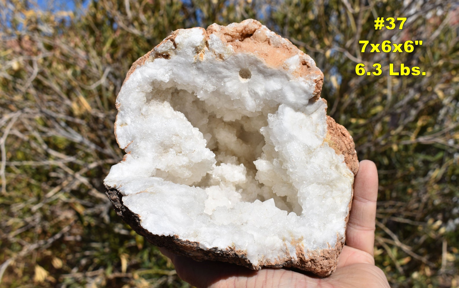 Extra Large HOLLOW Quartz CRYSTAL GEODES Choice of 10 - Etsy