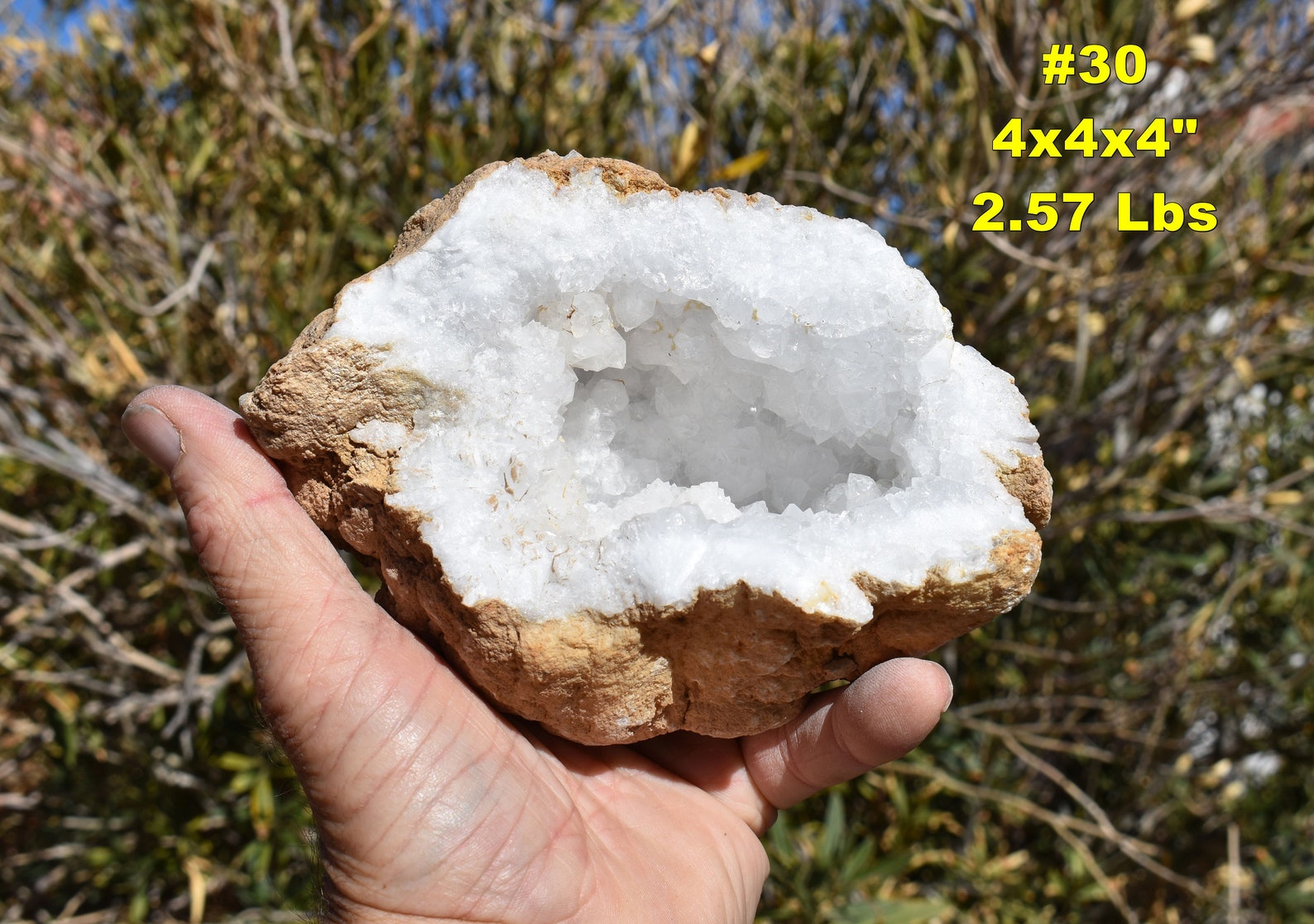 Extra Large HOLLOW Quartz CRYSTAL GEODES Choice of 10 - Etsy