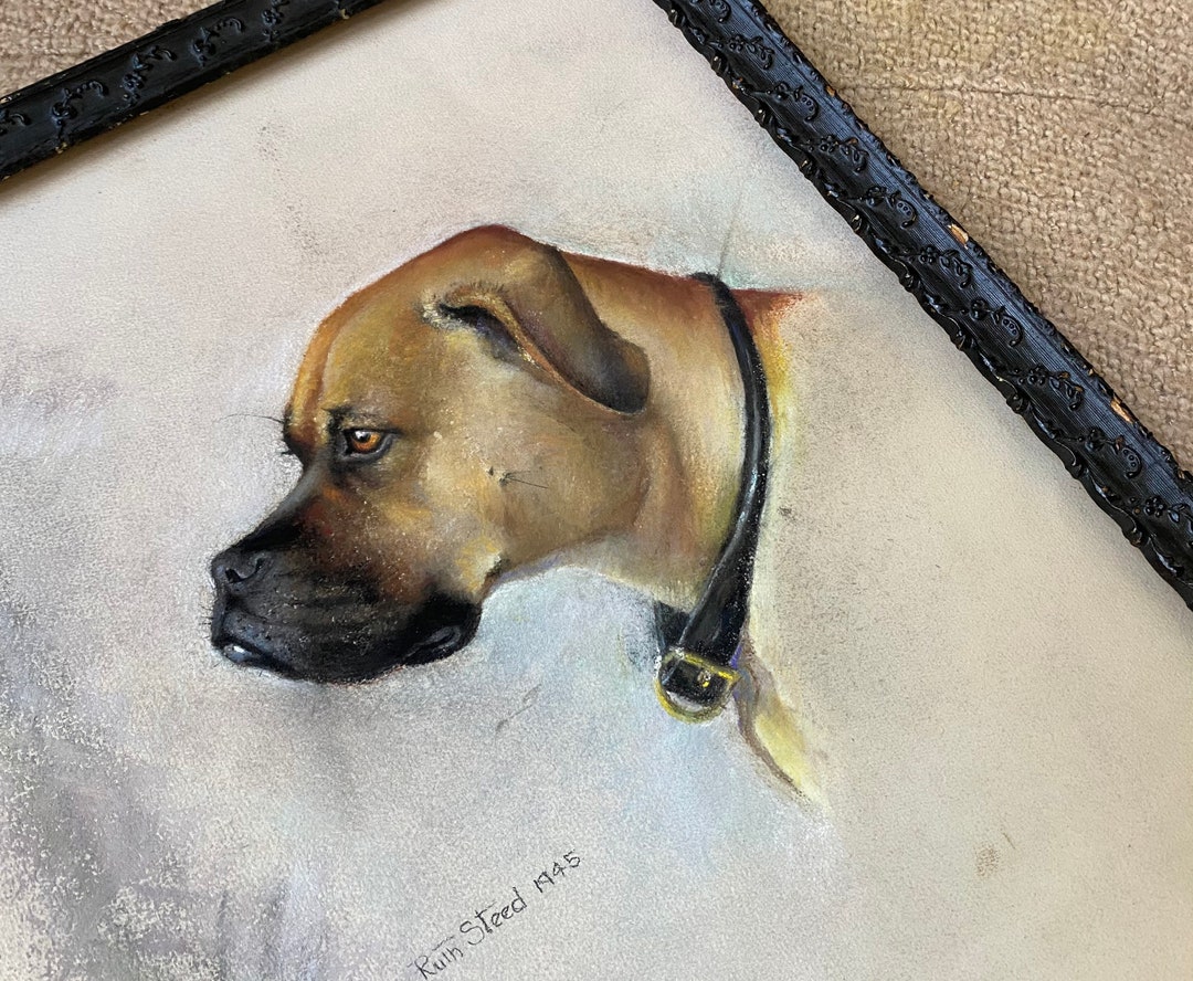 Signed Original CHARCOAL Pastels BOXER Mix Portrait Sketch Art Childs ...