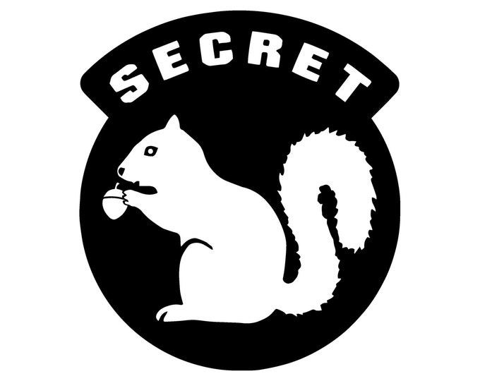 Decal Secret Squirrel - Etsy