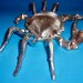 CRAB SILVER COLORED Metal Vintage Welded Made in India Nautical ...