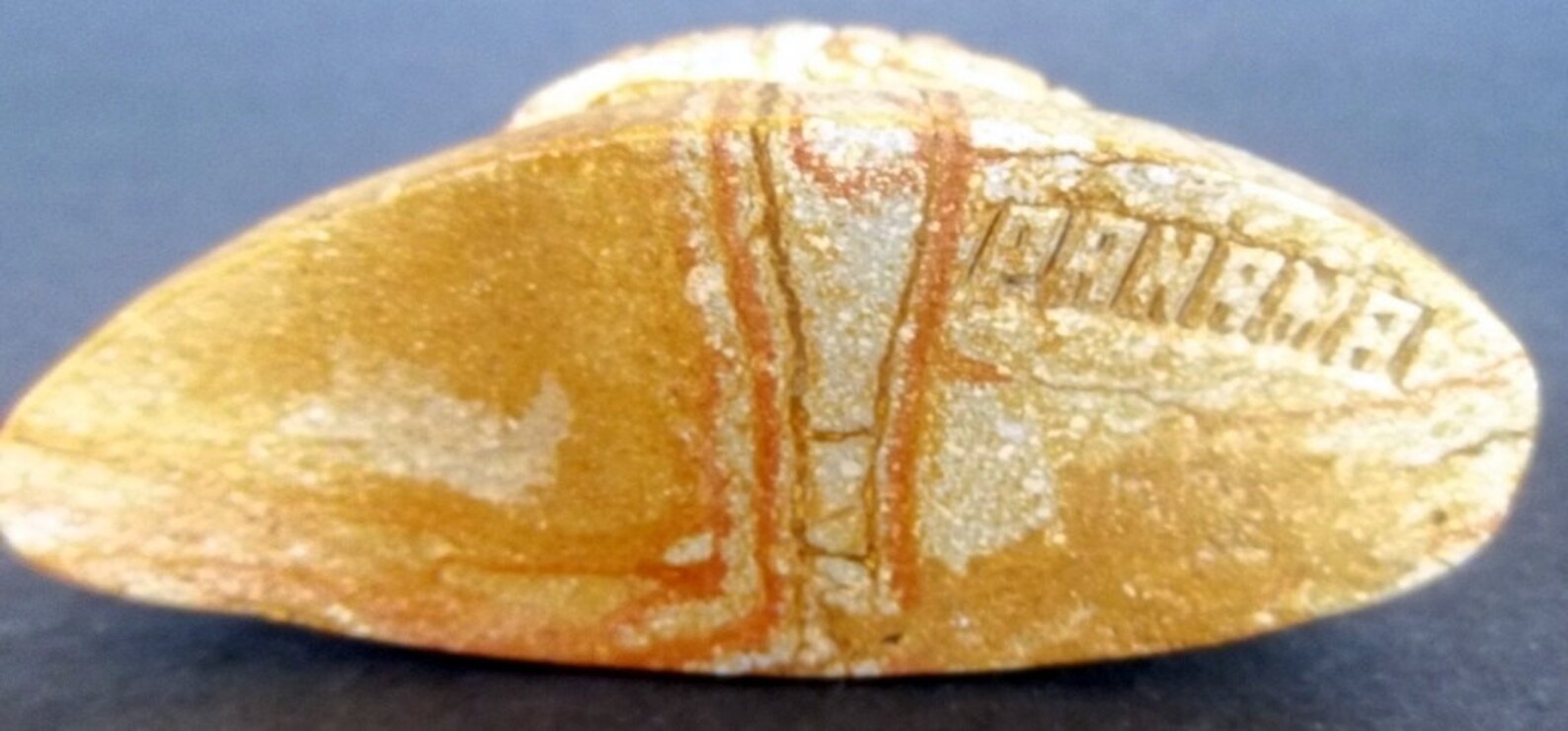 VINTAGE CARVED ARMADILLO Panama Figure Marble Rock Resin Clay - Etsy