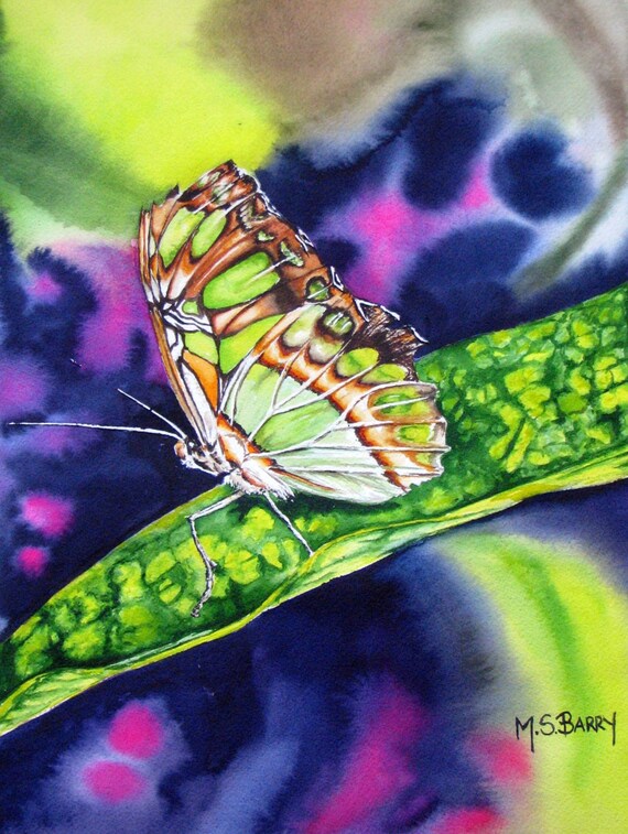 Camouflage Butterfly