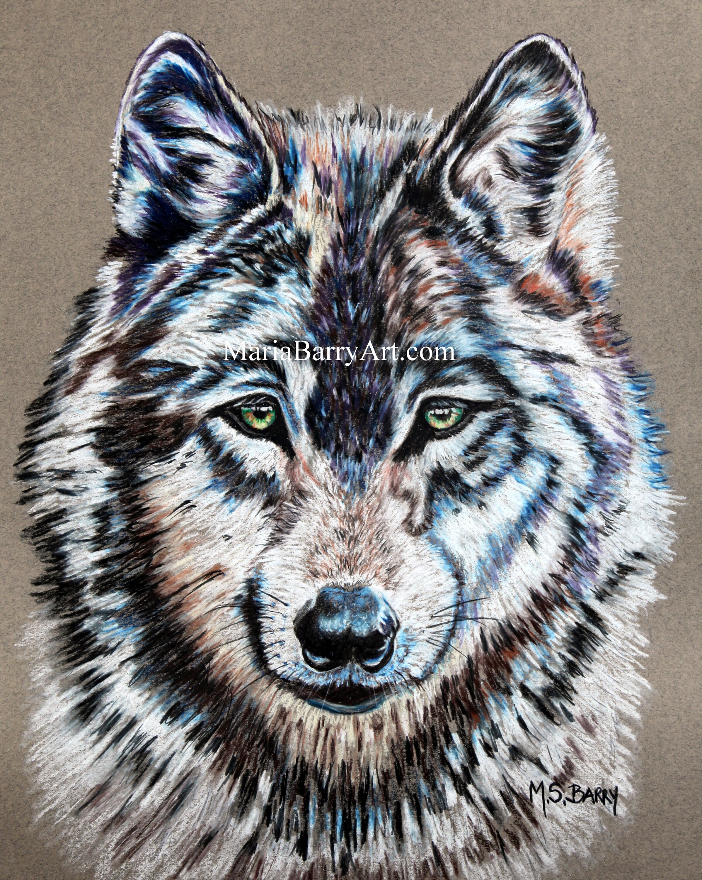 Timber Wolf. A Colored Pencil Print From an Original Painting - Etsy