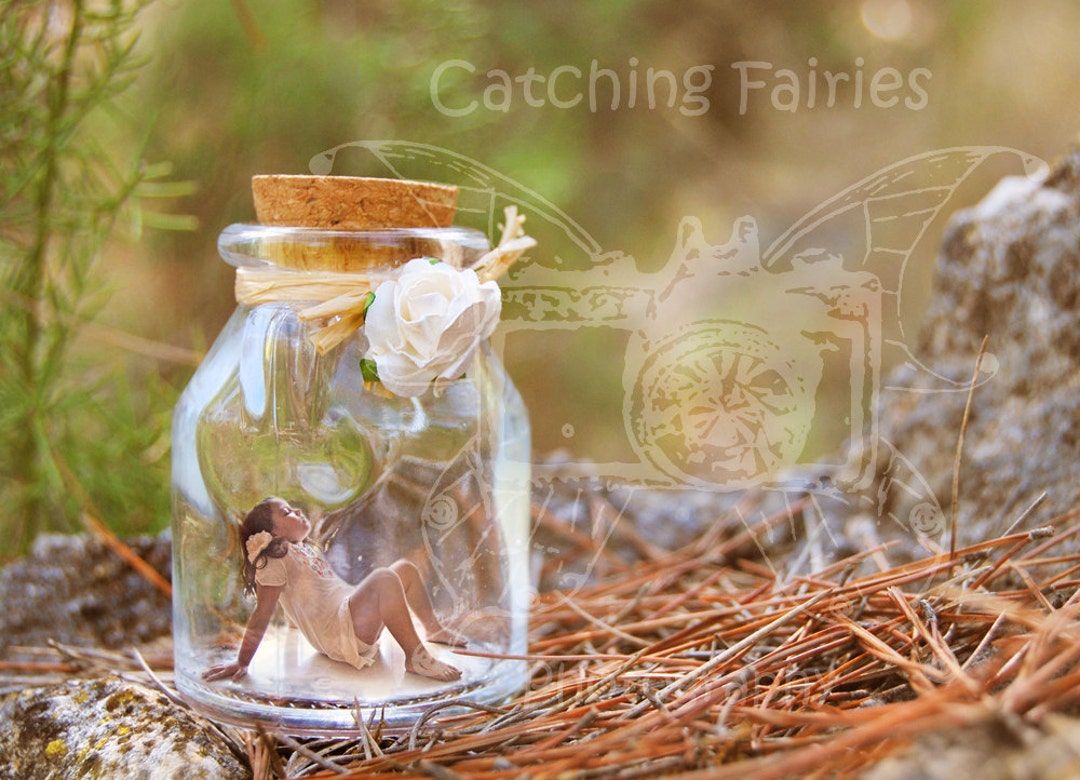 Digital Backdrop/template Scene/background Photoshop in the Forest ...