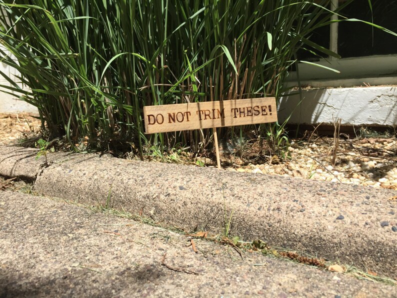 Reclaimed Wood Outdoor Sign Garden Stake Custom Sign Rustic | Etsy