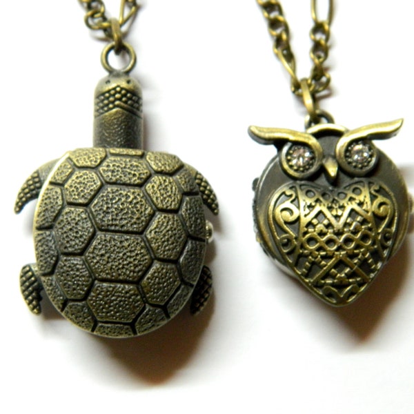 Turtle Owl - Etsy