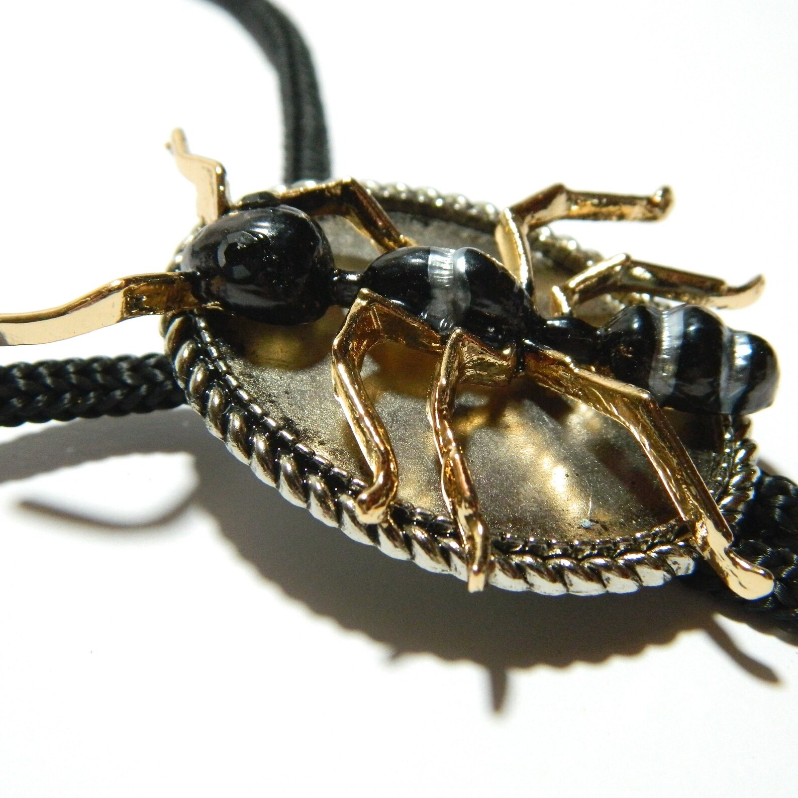 Ant Bolo Tie, Golden Brown Emmet, Wedding Men's Fashion Jewelry ...
