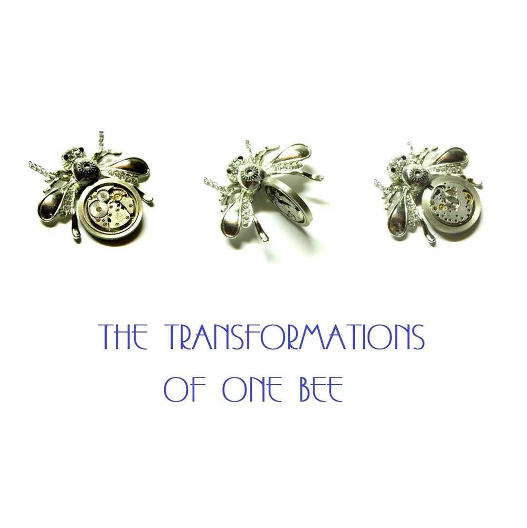 Steampunk Queen Mother Bee, Save Bees Einstein, Silver Steam Punk Jewelry, Old Clockwork ...