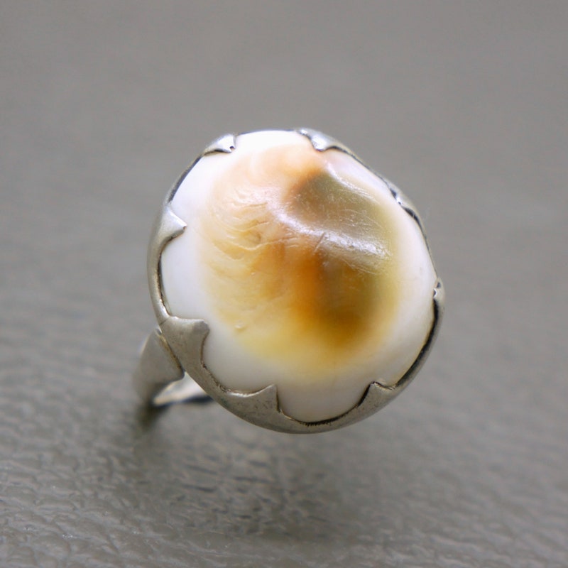 Operculum Jewelry - Etsy