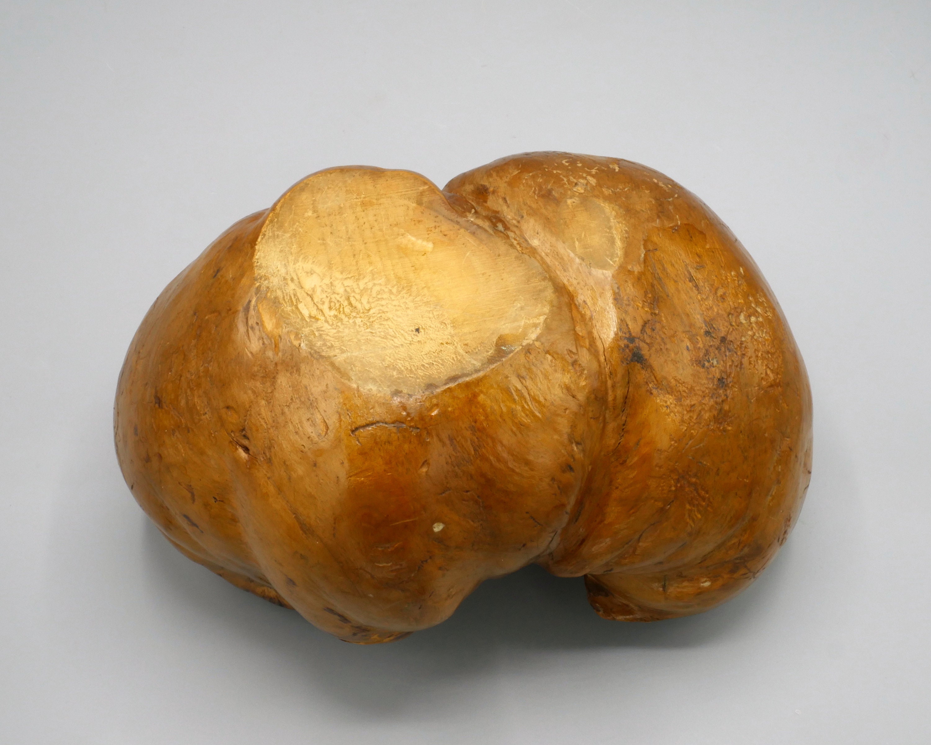 Nature Inspired Interior Decor Wooden Bowl L25cm Burl Wood Organic Free ...