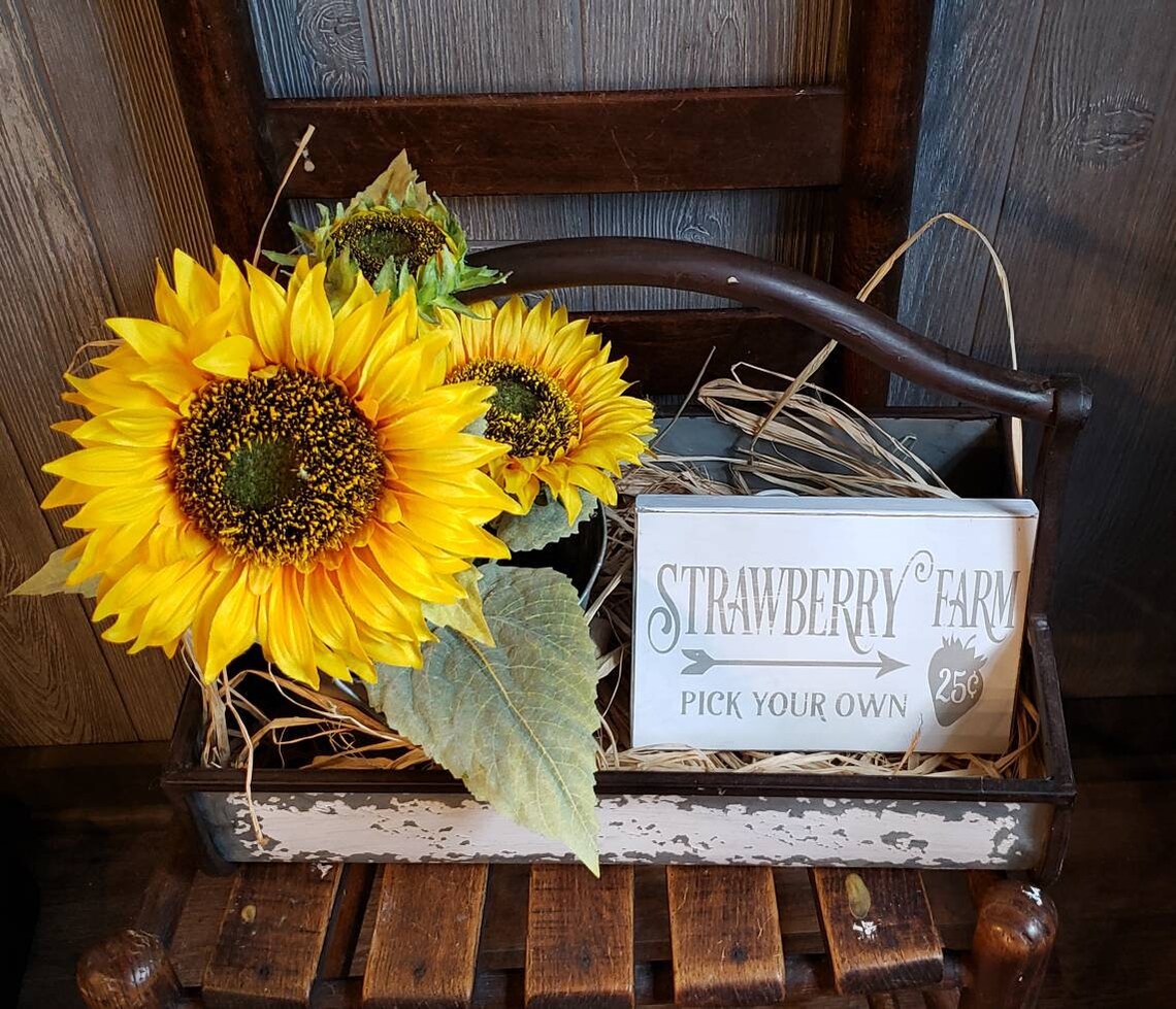 Mini Farmhouse Strawberry Farm Sign - Etsy