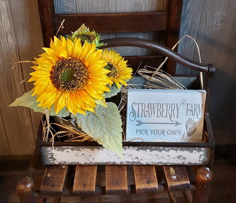 Mini Farmhouse Strawberry Farm Sign - Etsy