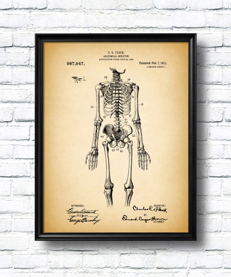Retro 1911 Anatomical Skeleton, Vintage Art Print Poster, Patent Wall ...