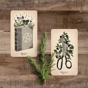 Memento Mori Oracle Deck, Lenormand Anatomy Divination Cards, Witchy Pagan Gift With Unique Art ...