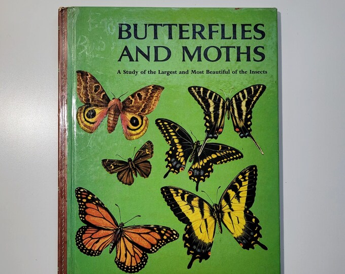Butterflies and Moths, Golden Library of Knowledge, 1958, Golden Press ...