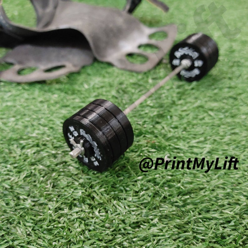 Customizable Mini Barbells for Weightlifting, Crossfit and Gym ...