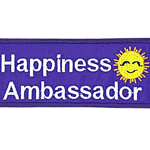 Fun Police Embroidered Iron-on Patch | Etsy