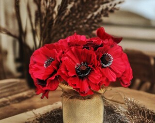 TheSecretGardenn - Etsy