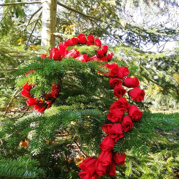 Red Rose Garland - Etsy