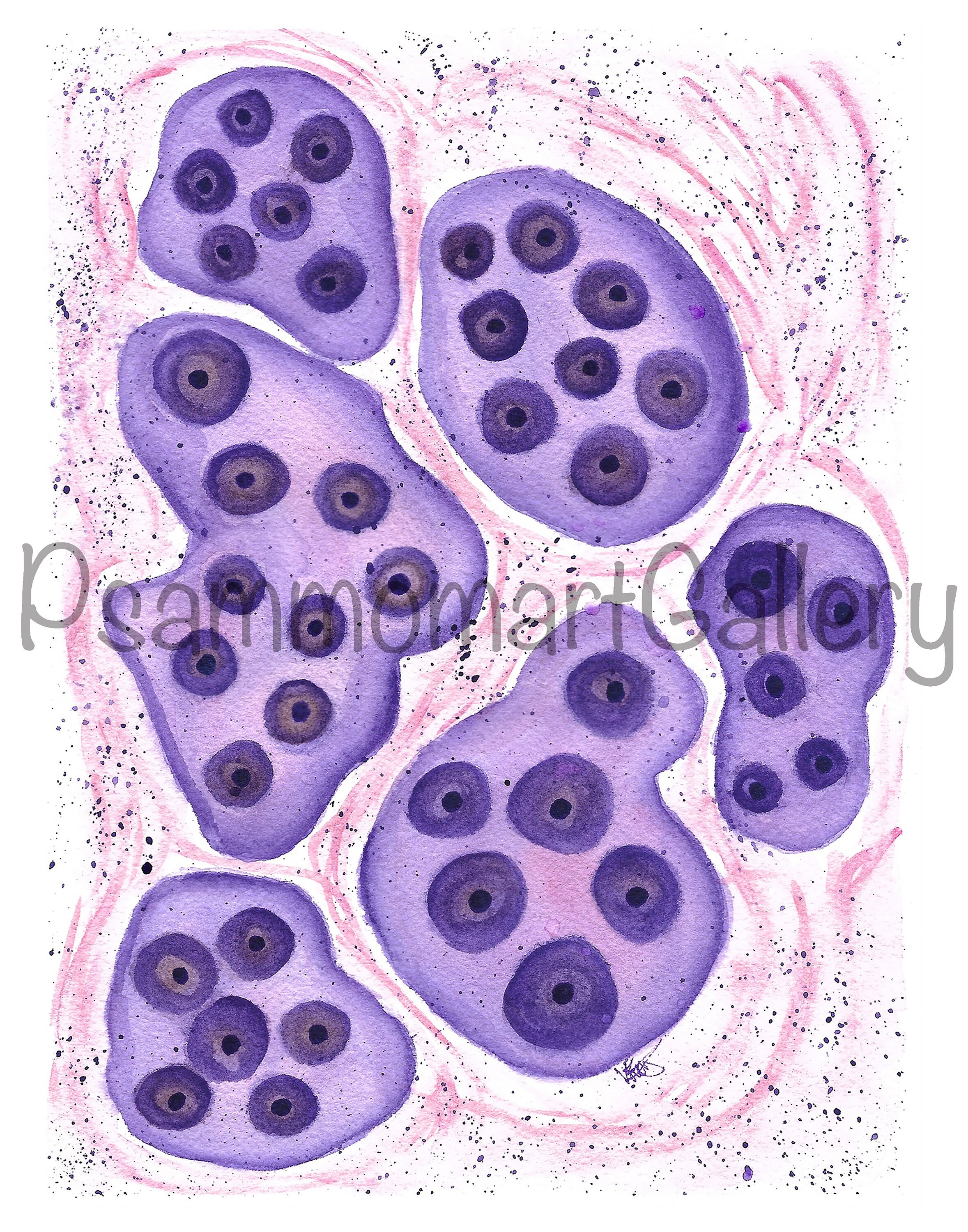 Wall Art, Histology, Pathology, Watercolor Art, Anatomy Print, Digital ...